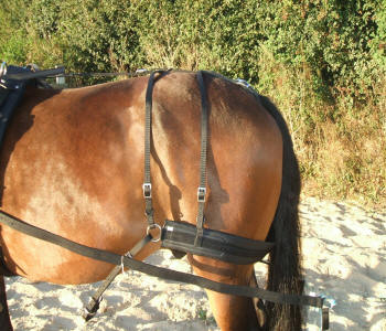 Zilco Tedex Horse Harness Carriage Driving Strong Quality All Sizes | eBay