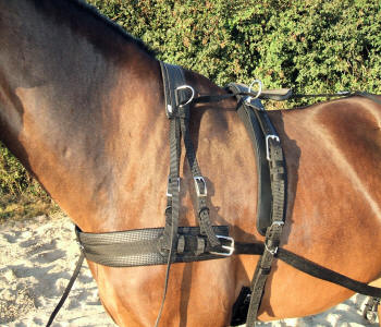 Zilco Tedex Horse Harness Carriage Driving Strong Quality All Sizes | eBay